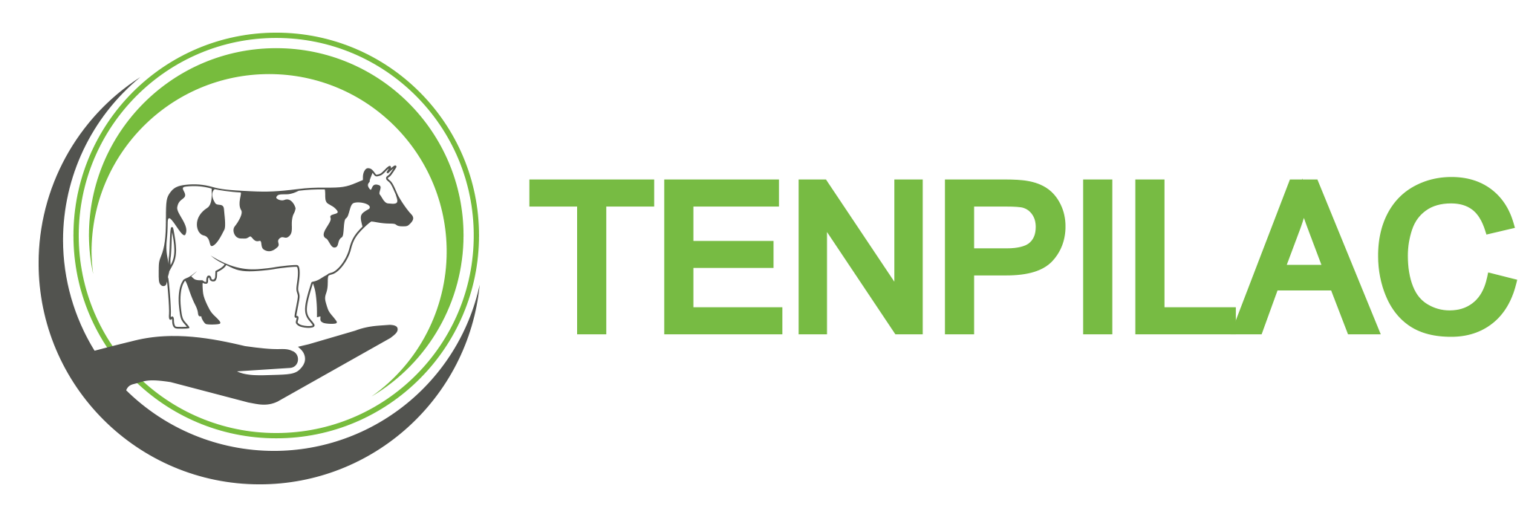 Chy – Max Líquido y Polvo